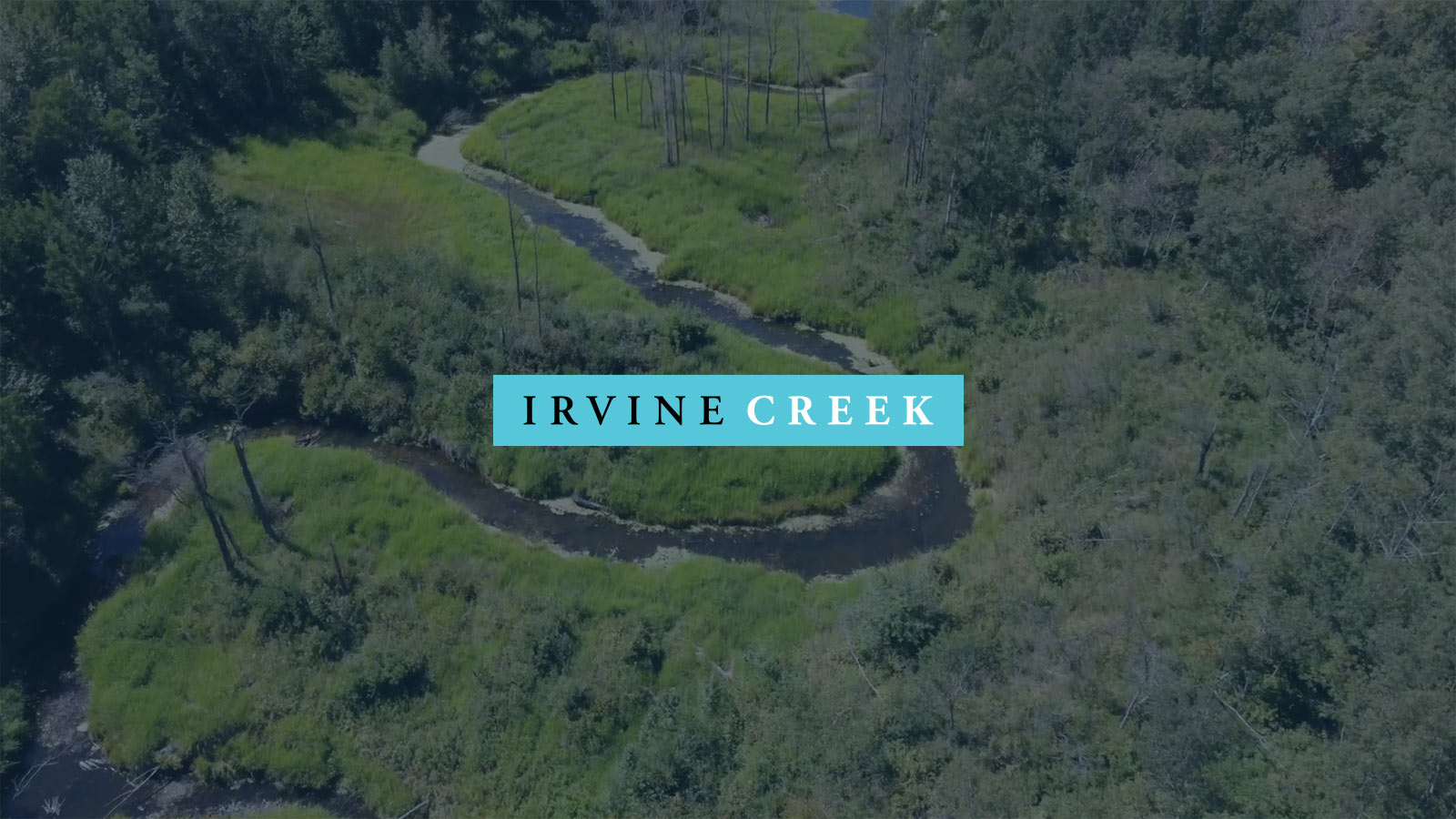Welcome to Irvine Creek